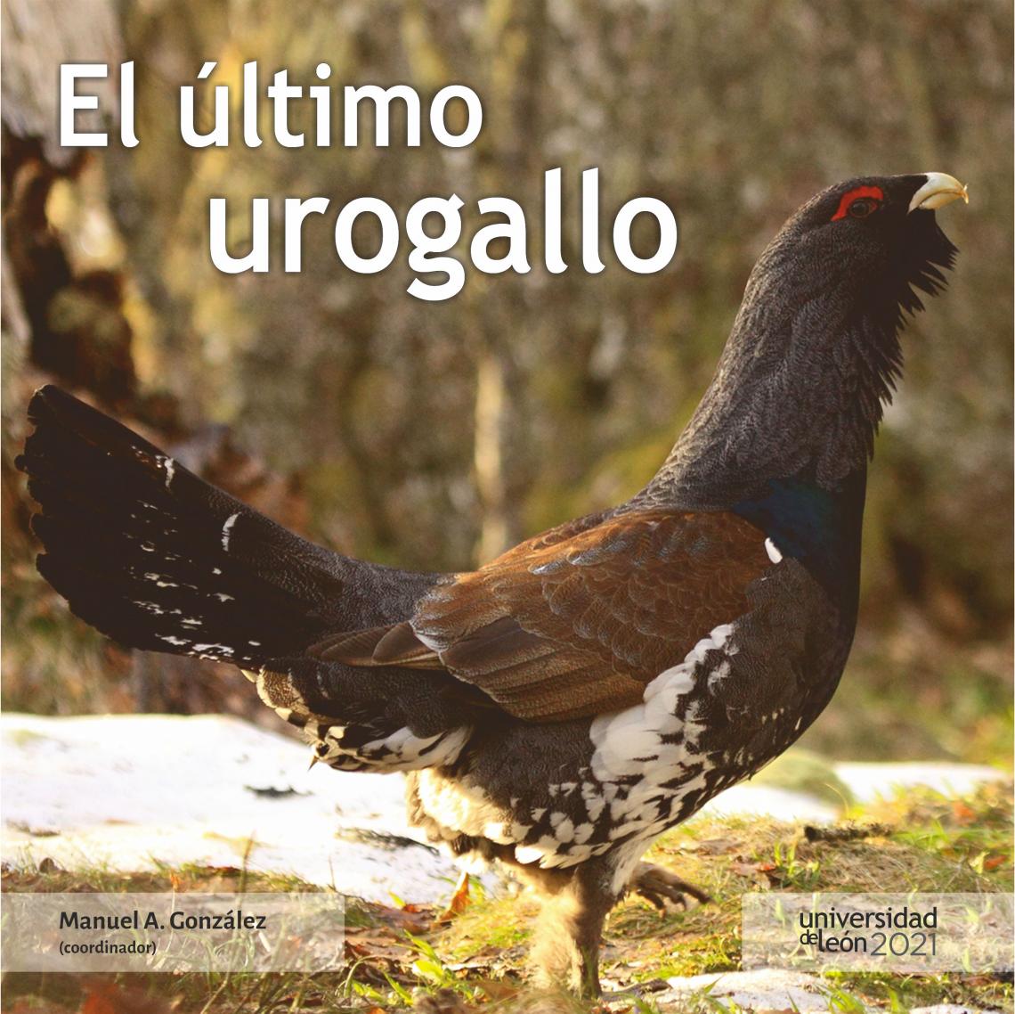 El Área de Publicaciones edita un completo estudio sobre el urogallo ...