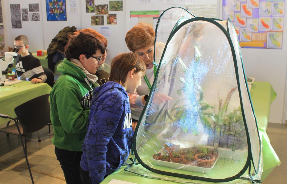 Inaugurada con gran éxito Expociencia unileon 2023, que se podrá ...