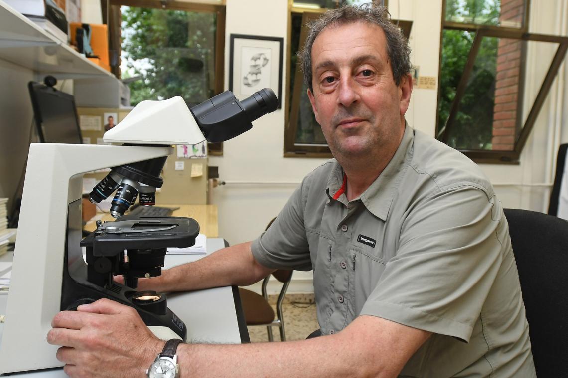 Publicado el libro 'Morfología microscópica de las plantas', del profesor Rafael Álvarez Nogal ...