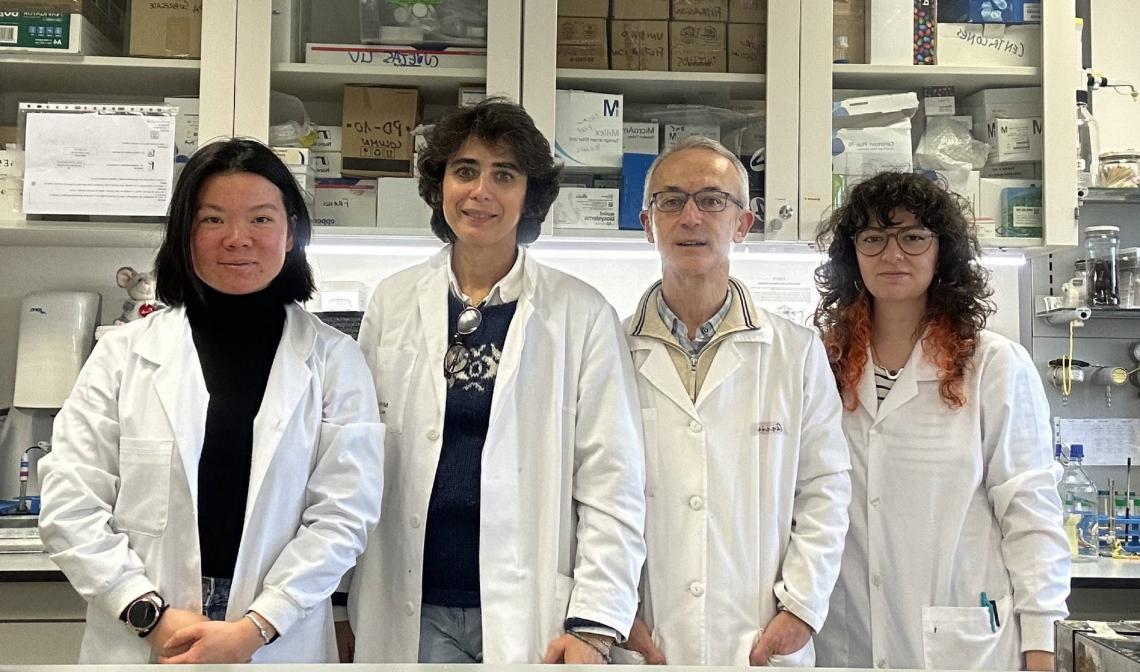 Investigadores de la ULE contribuyen a un avance clave sobre ...