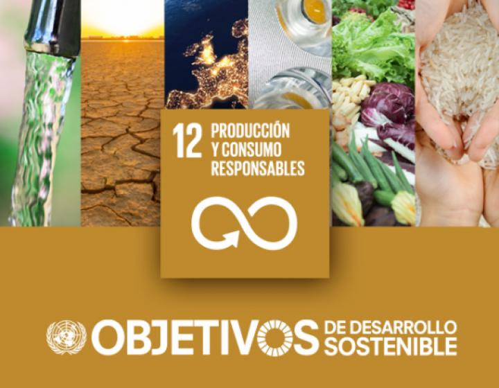 La producción y el consumo responsable protagonizan un Curso de Verano ...