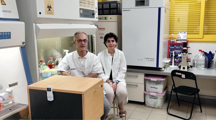 Investigadores de la ULE crean nuevas terapias frente a tumores ...
