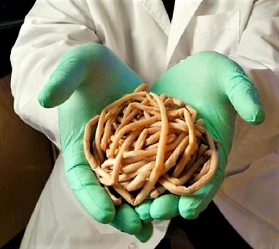 La ULE participa en un proyecto para reducir la incidencia de los ...